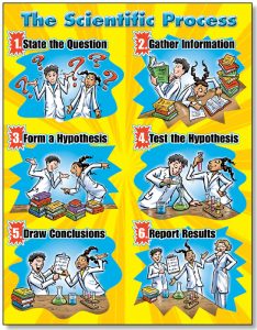 NS3300 The Scientific Process Quick-Study Poster - North Star Teacher ...